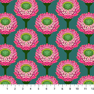 Iconic Strawflower | Anna Maria | AMT123-28L | Bursting – The Quilty Shop